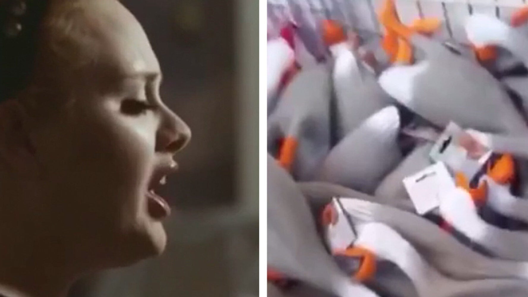 Adele, Taylor Swift And The Duck Army Vine Make For A Perfect Match ...
