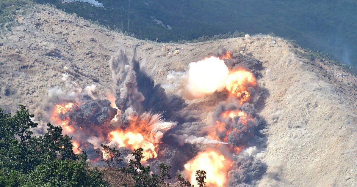 Bomb-Proof Plants Touted As Useful Solution To Cleaning War Zones ...