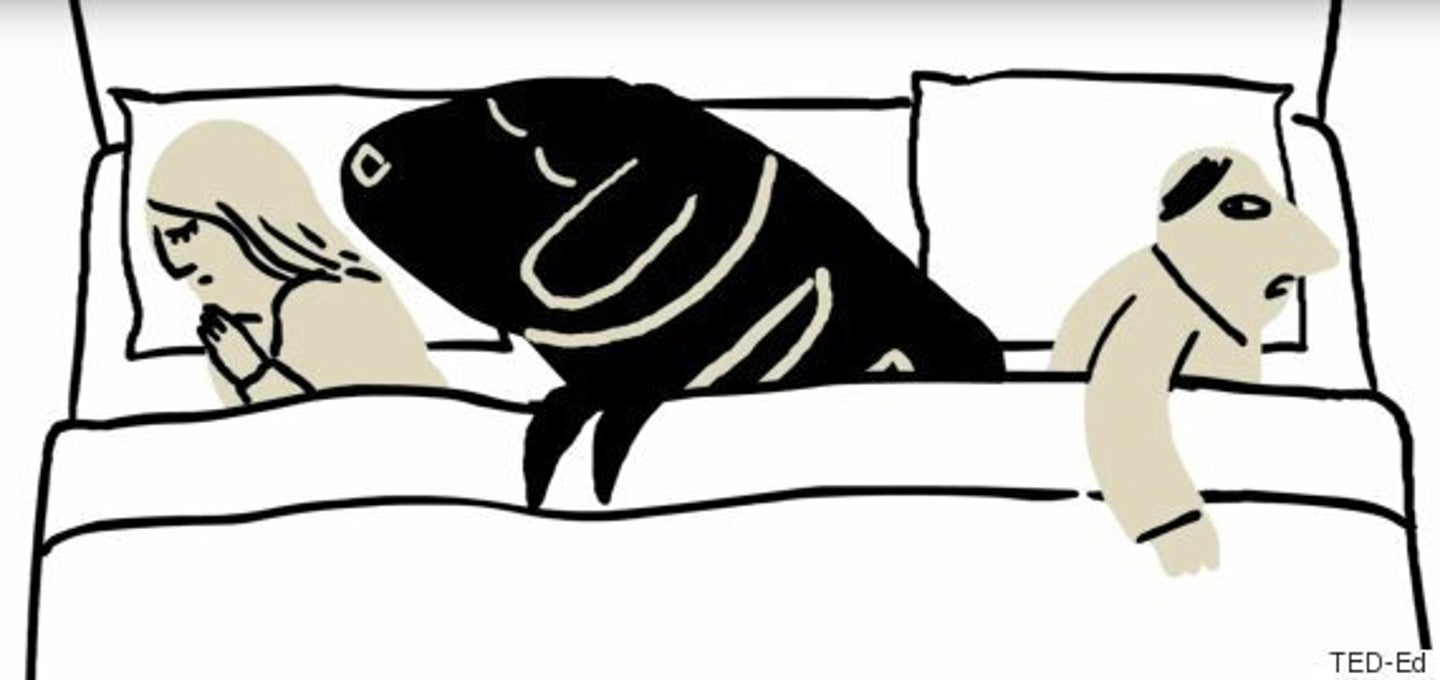 Animation Perfectly Explains What Depression Is And Offers Advice On ...