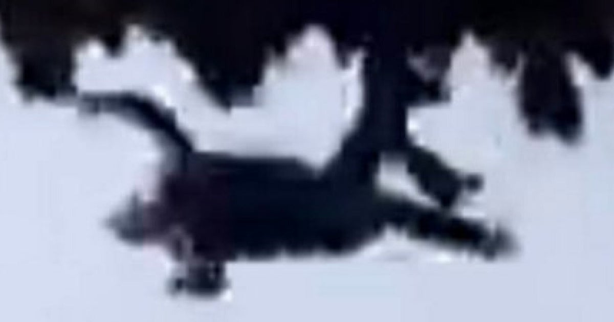 China Theme Park Disaster: Horrific Video Shows Man Falling From Ride ...