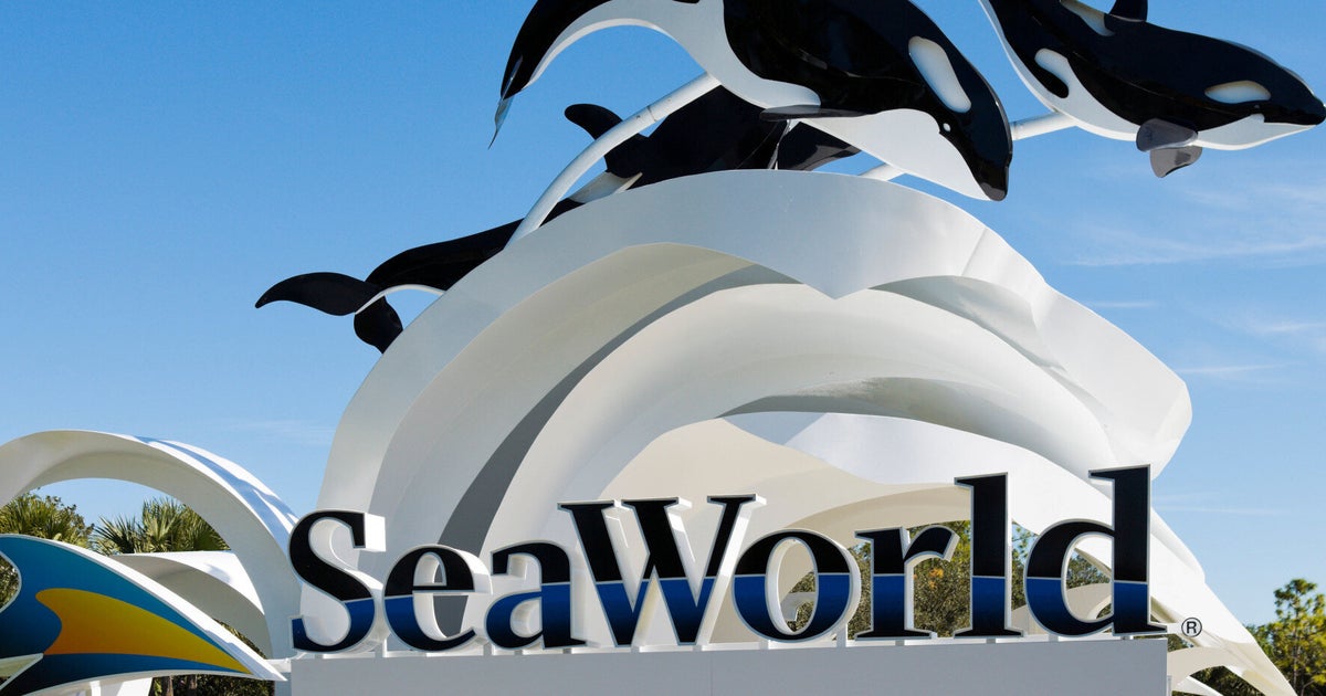 SeaWorld Employee Infiltrated Animal Rights Group PETA, Amusement Park ...