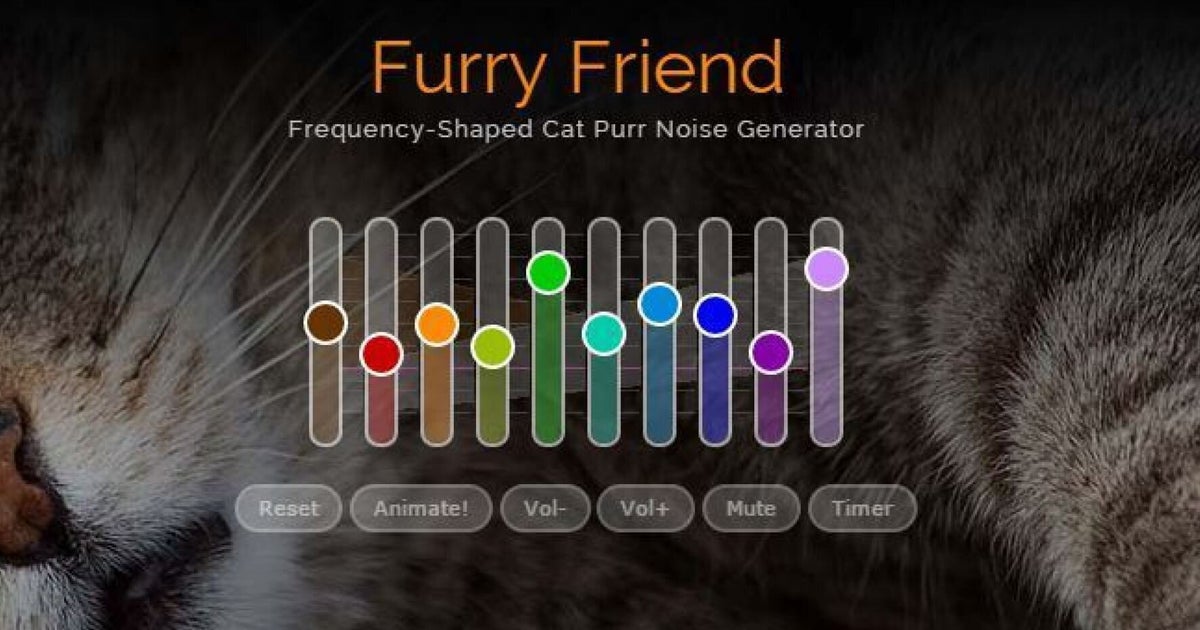 Online Purr Generator 'Furry Friend' Will Make It Feel Like There's A ...