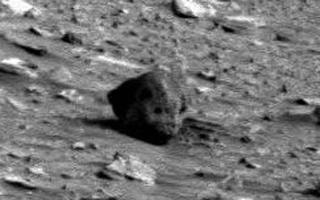Mars Rover Rodent
