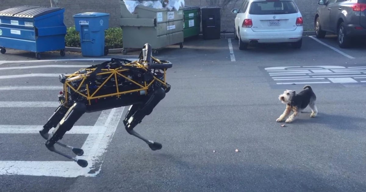 Watch Boston Dynamics' 'Spot' Robot Dog Meet A Real Dog For The First ...