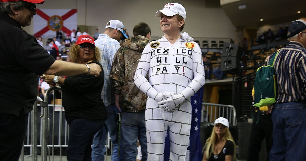 Donald Trump's Biggest Fan Dresses As Wall With Mexico At Campaign ...