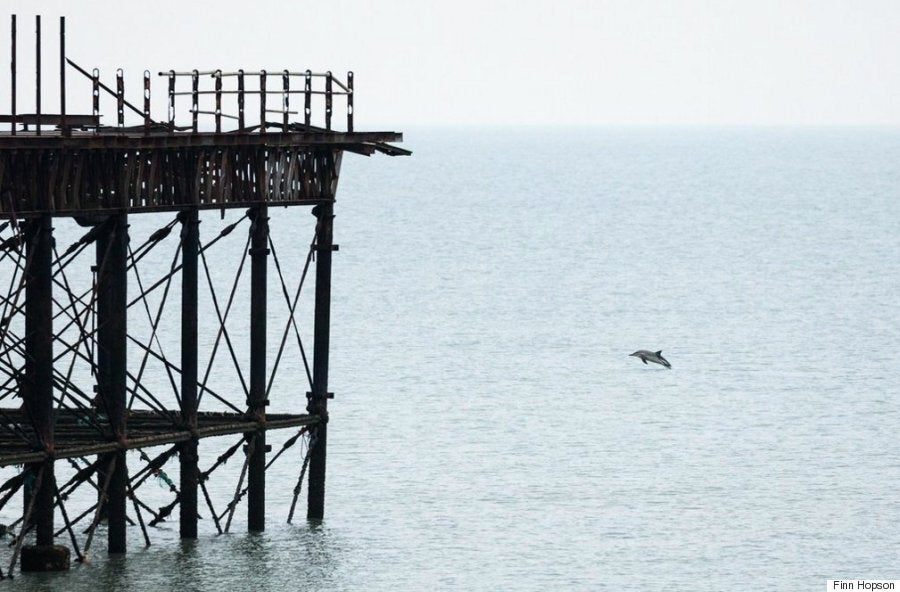 Photographer Captures Incredible Rare Sighting Of A Dolphin At Brighton ...
