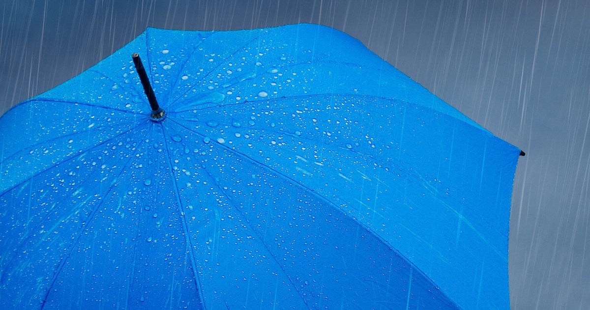 How Not to Do a Wet School Run | HuffPost UK Parents