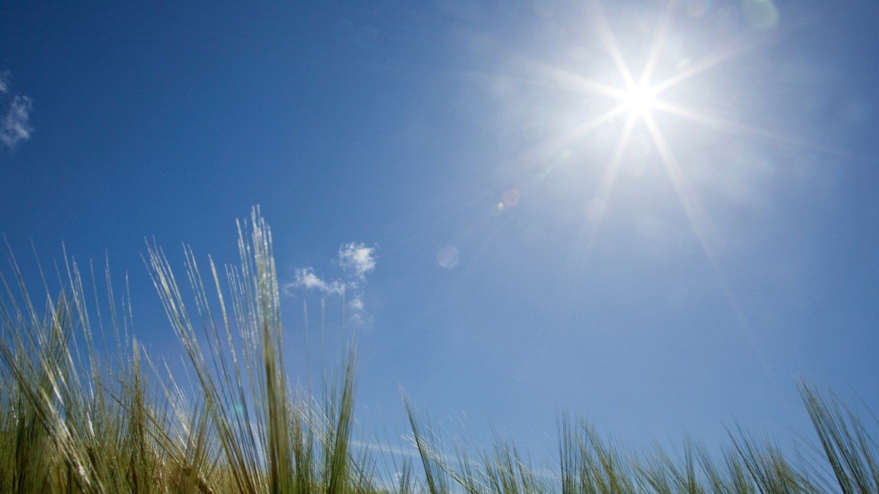 Summer in Wales | HuffPost UK Life