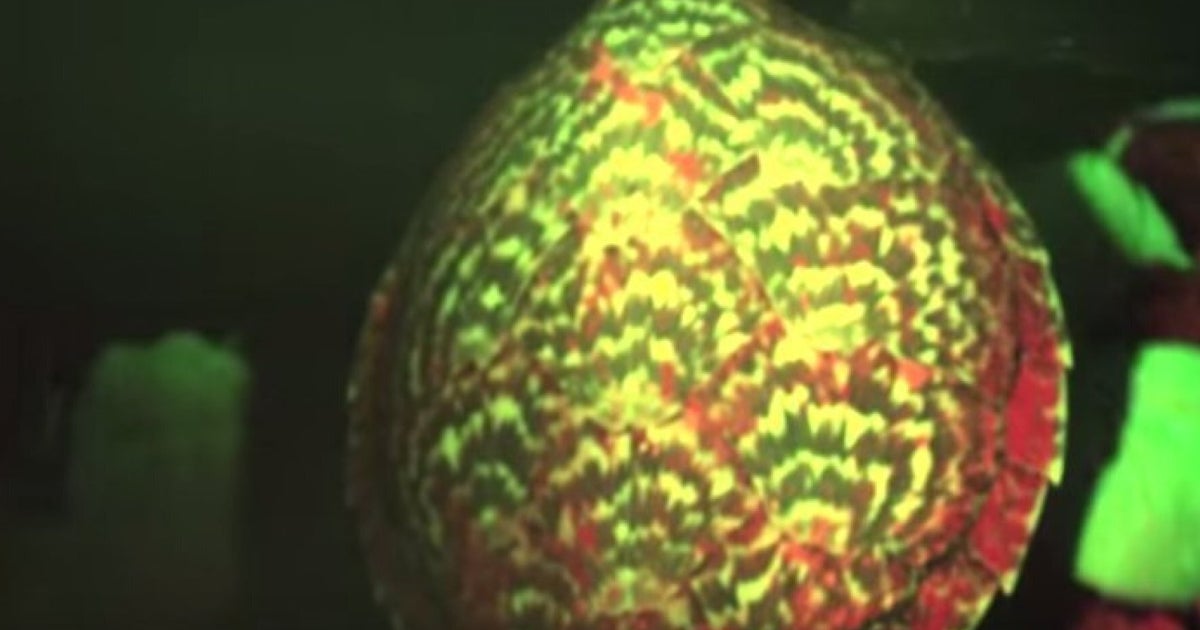 First Alien-Like Glowing Turtle Discovered By Explorers In South ...