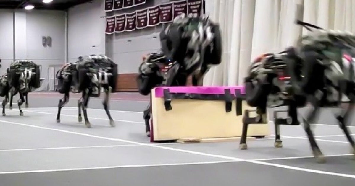 MIT's Robotic Cheetah Is Surprisingly Fast, Efficient And Almost Like ...