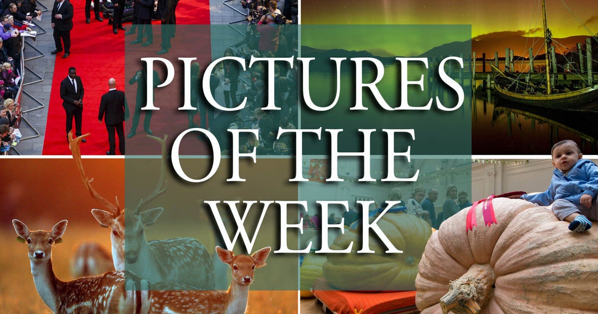 Pictures Of The Week: The Most Powerful Photos From Around The World ...