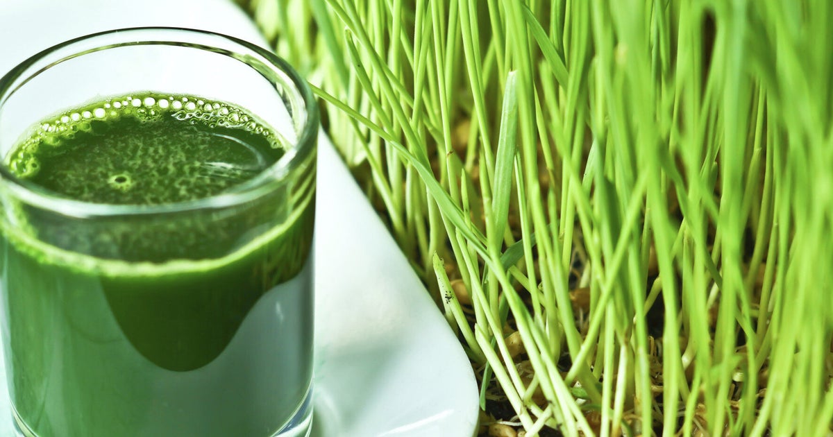 What Is Wheatgrass? Health Benefits, Concerns And How To Eat And Drink ...