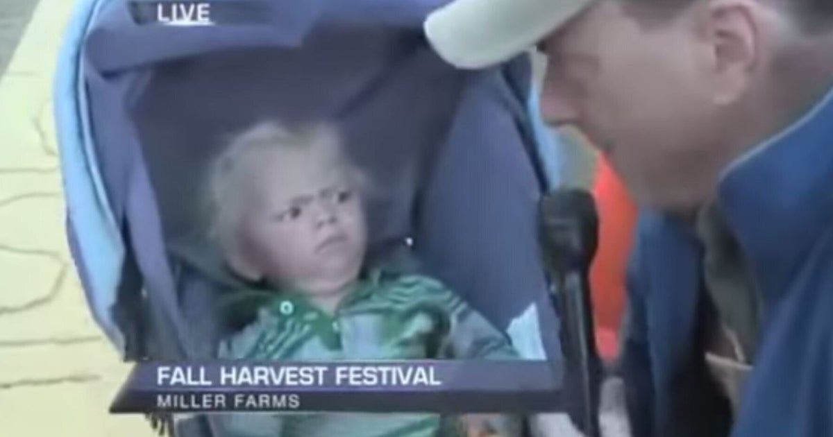 Funniest Live News Interviews Compilation Video | HuffPost UK Comedy