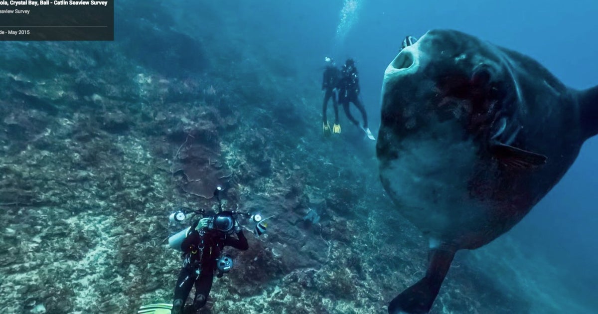 To Celebrate World Oceans Day Google Sends Street View To The Bottom Of ...