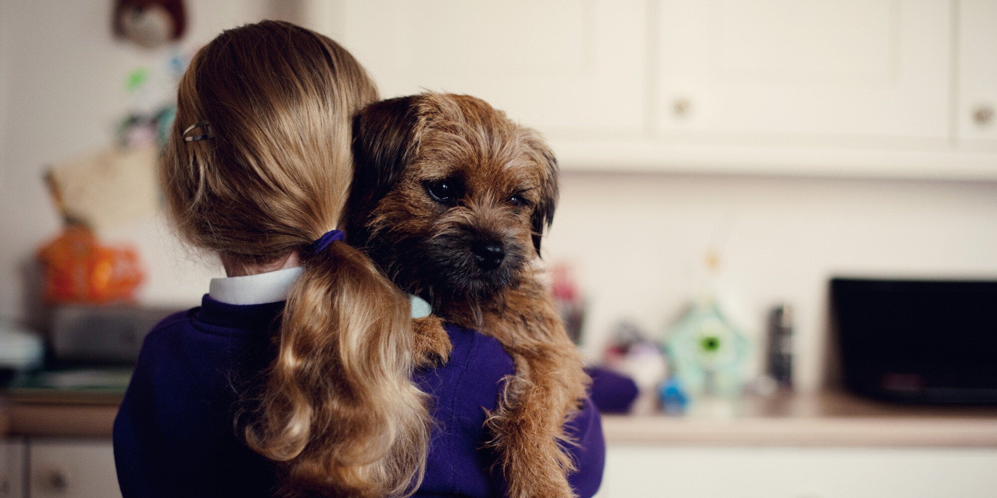 What To Say To Someone When Their Pet Dies HuffPost UK Life What To Say To Someone When Their Pet Dies HuffPost UK Life