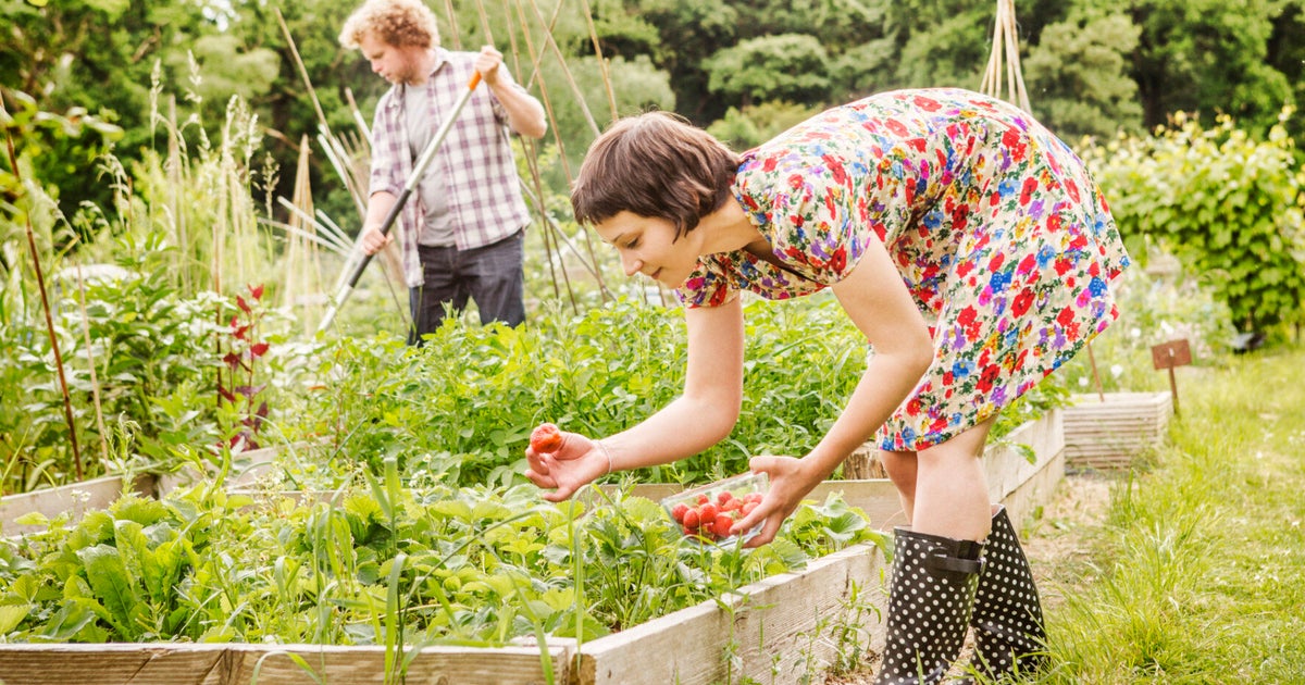 Make Your Garden Forage-able In A Day | HuffPost UK Life