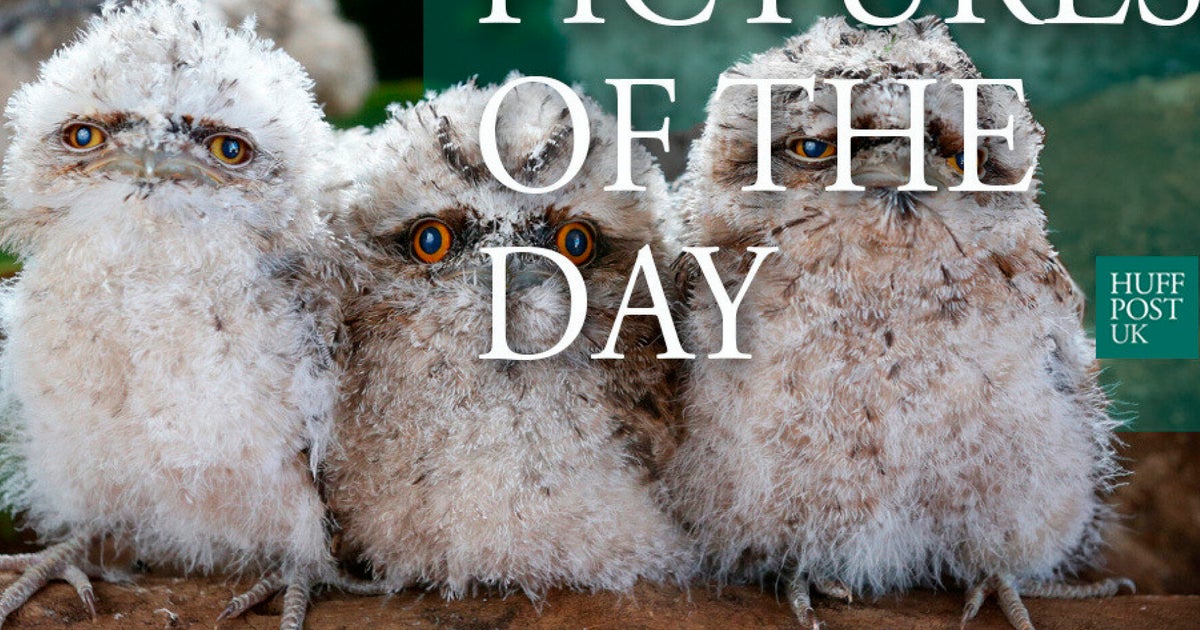 Pictures Of The Day: The Best Images From Around The World On Tuesday ...