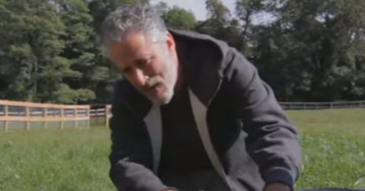 Jon Stewart Opens Sanctuary For Abandoned Farm Animals After Quitting ...