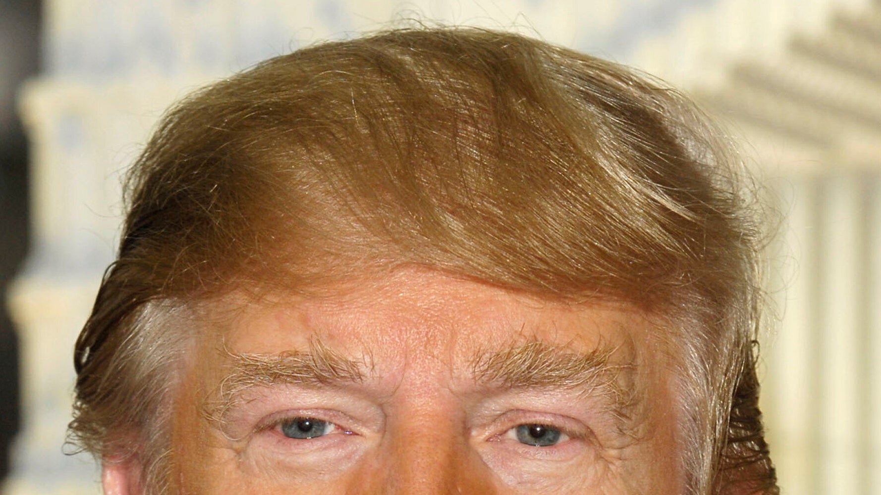 Donald Trump's Hair Announces Candidacy For President Of The United ...