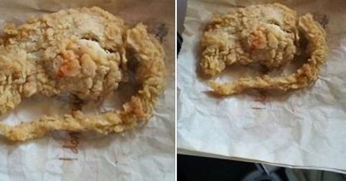 Man 'Served Deep-Fried Rat' In KFC | HuffPost UK Comedy