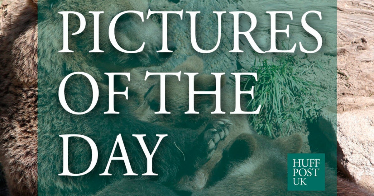 Pictures Of The Day: The Best Images From Around The World On Friday ...