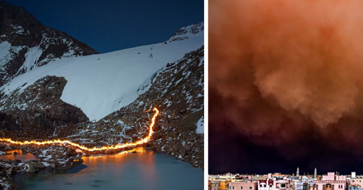 Environmental Photographer Of The Year 2015: Thought-Provoking Images ...