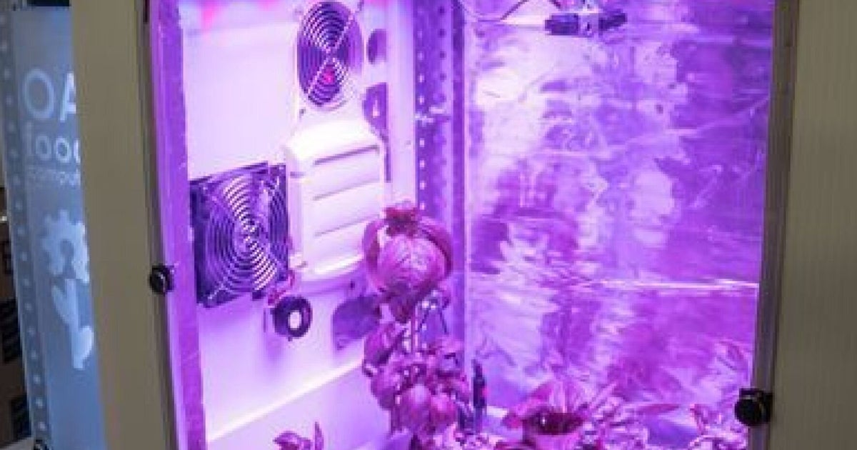 Food Computer Set To Alleviate Global Food Crisis Using 'Climate ...