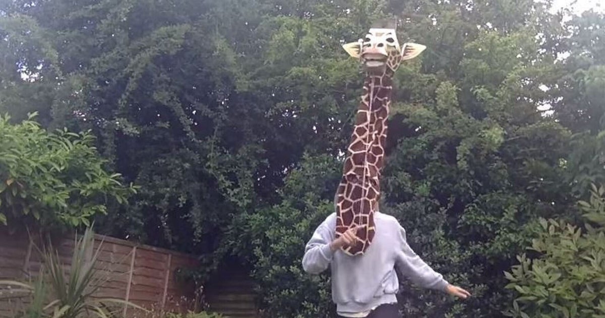 Giraffe Singing 'Let's Get It On' By Marvin Gaye | HuffPost UK Comedy