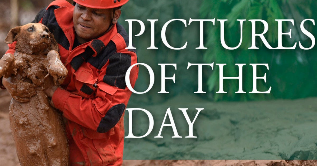 Pictures Of The Day: The Best Images From Around The World On Tuesday ...