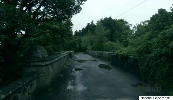 'Dog Suicide Bridge': 600 Hounds Leap From 'Haunted' Scottish Bridge ...