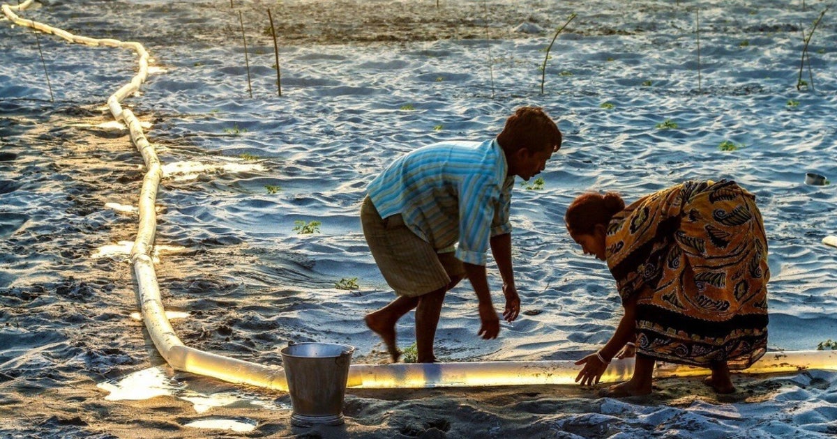 Winner Of Environmental Photographer Of The Year 2015 Captures ...