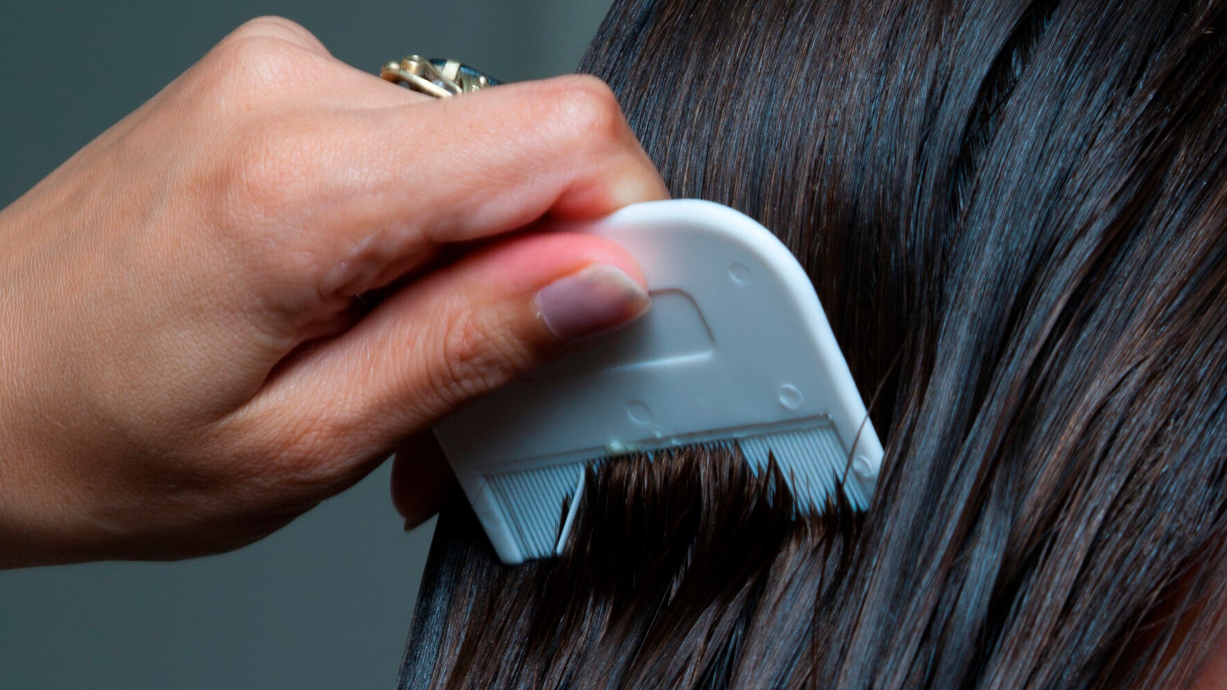 'We've All Got F***ing Nits!' - A Survival Guide | HuffPost UK Parents