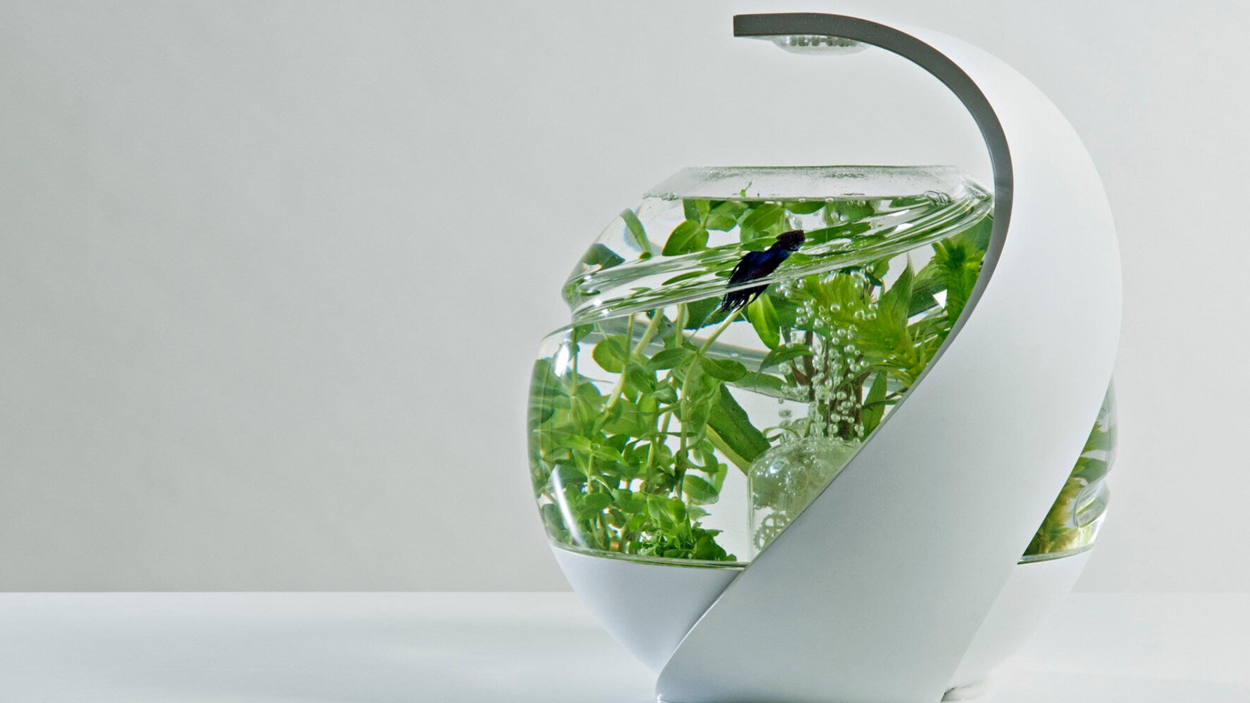 Finally: The Self-Cleaning Fish Tank Now Exists | HuffPost UK Tech