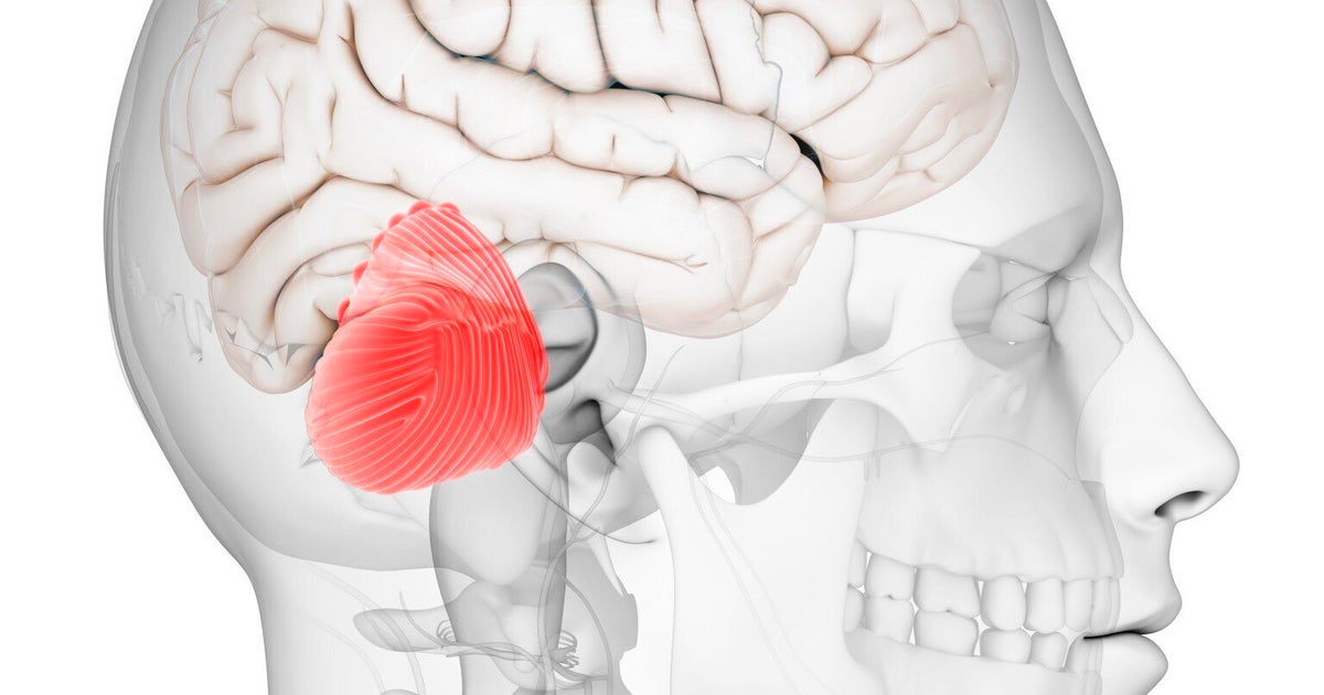 Why Your Brain Needs Rest to Function and Three Ways to Create It ...