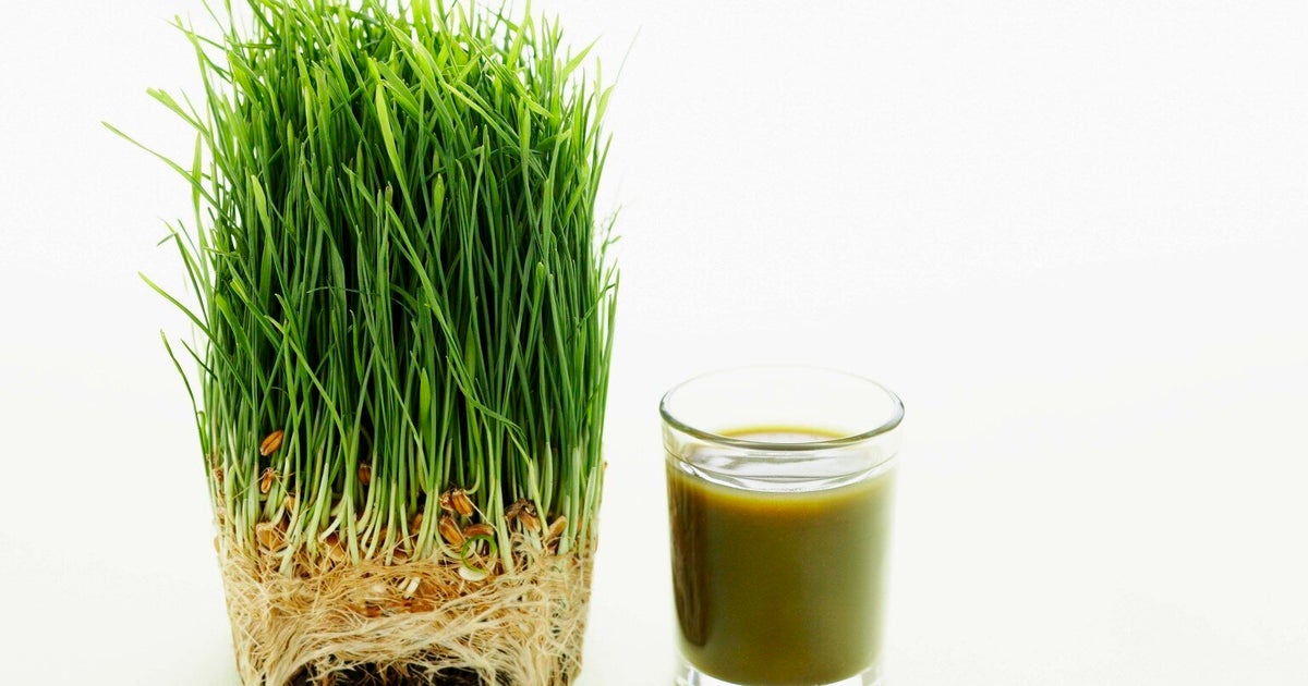 Get High on Green Powder - Wheatgrass! | HuffPost UK Life