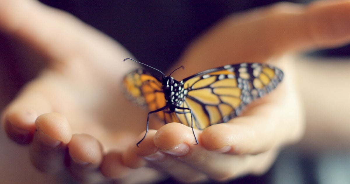 Hope Is a Special but Fragile Thing | HuffPost UK Students