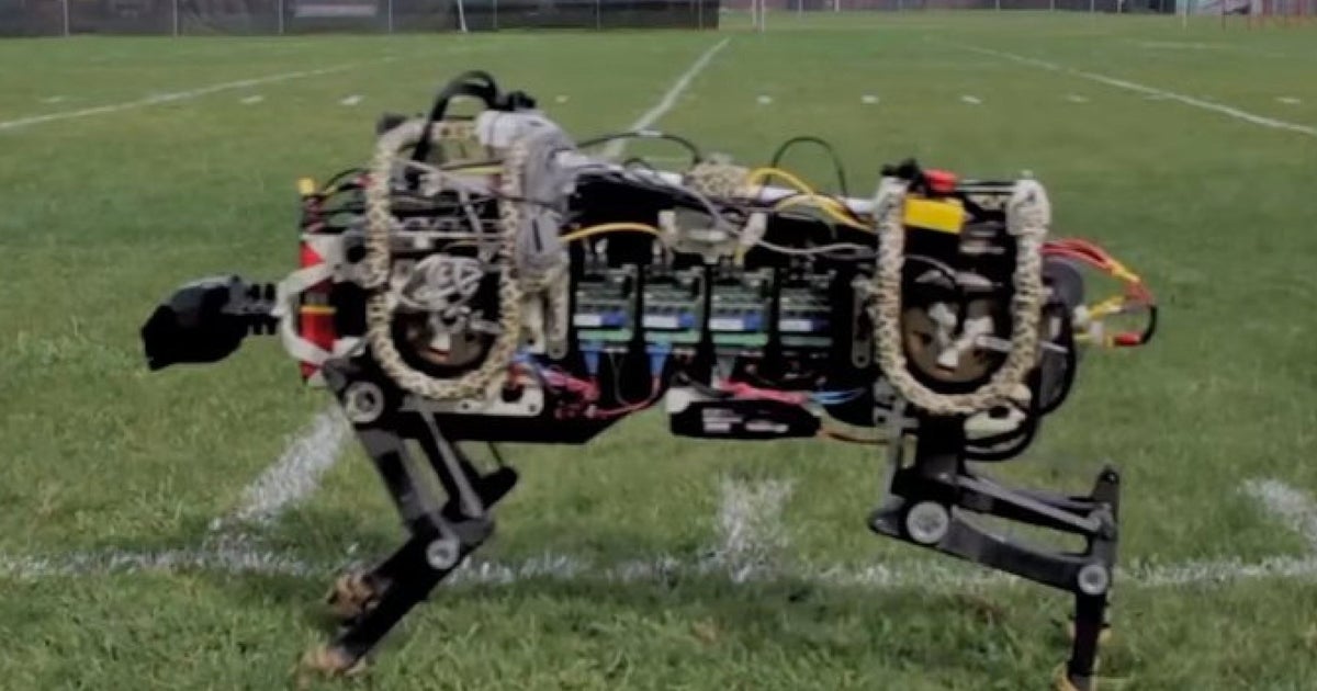 Robot Cheetah Bounds Like A Real Giant Cat | HuffPost UK Tech