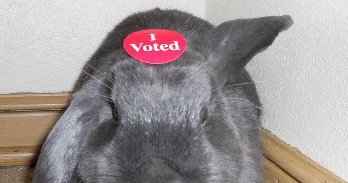 General Election 2015: Here's Why You Should Vote | HuffPost UK Students
