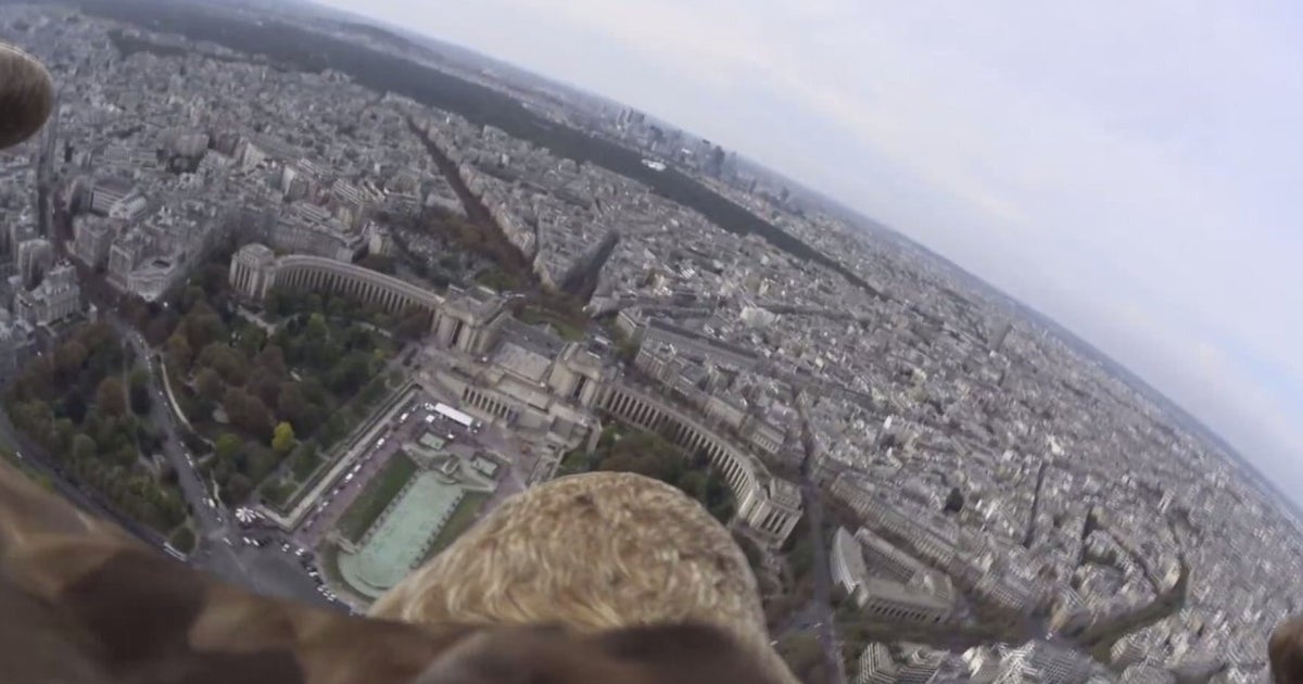 Fly Over Paris On The Back Of An Eagle | HuffPost UK Tech