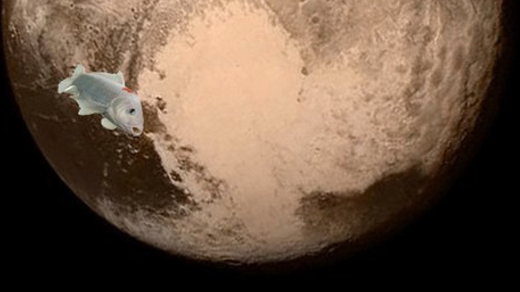 Amazing Nasa Pluto Image Is Proof That NONE Of These Things Are On Its ...