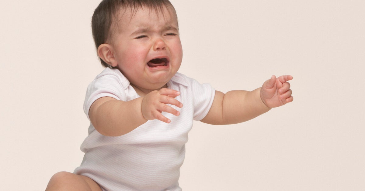 Oi, Baby Trainers - Get a Dog! | HuffPost UK Life