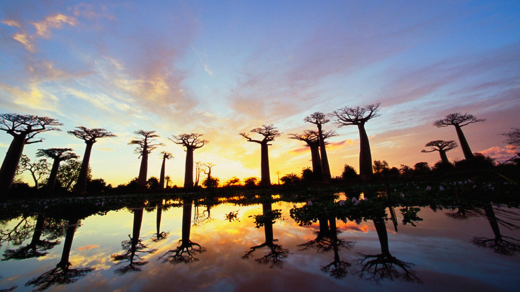 The Wonders of Madagascar | HuffPost UK Life
