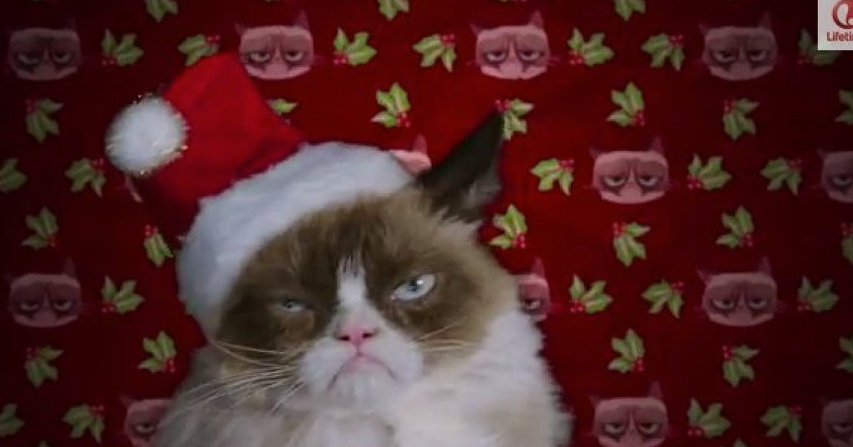 Grumpy Cat's Christmas Movie Trailer Is Here - And She's Not Happy ...