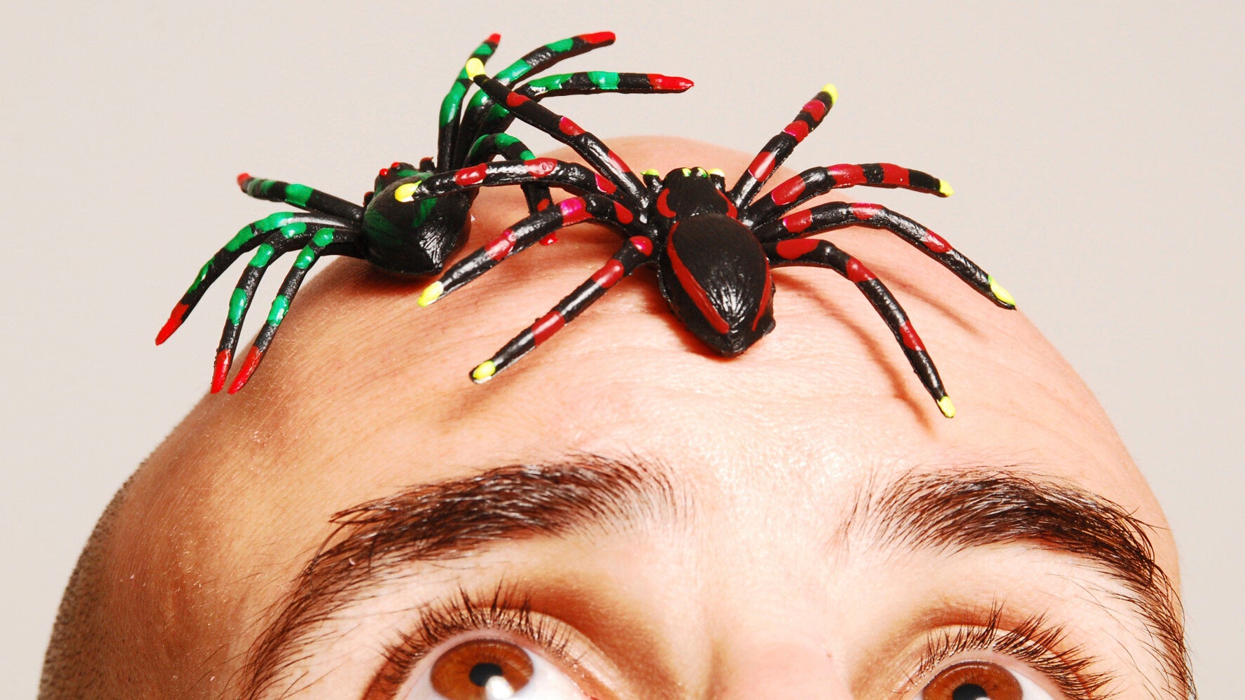 Man's Crippling Spider Fears Cured Following Brain Surgery | HuffPost ...