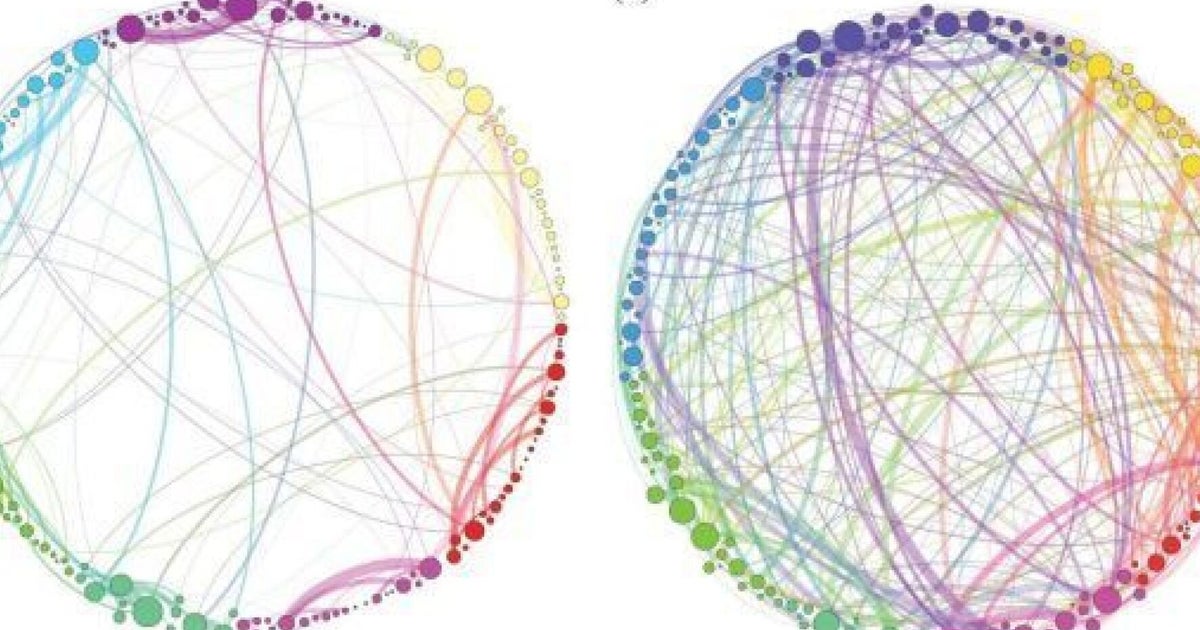 Magic Mushrooms Or Psilocybin Have This Remarkable Effect On Your