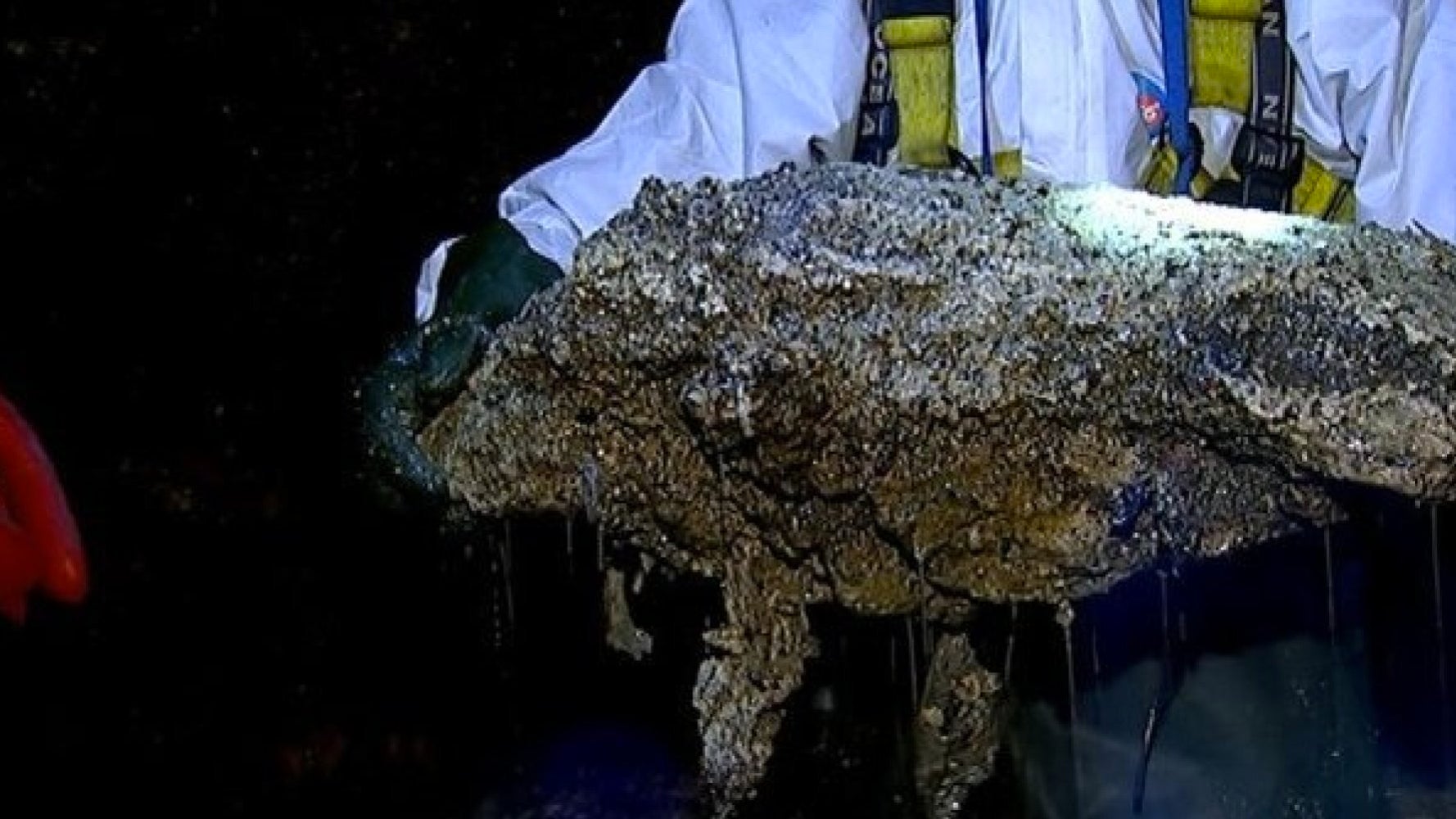 Giant Fatberg Clogs Up Sewers Beneath Government Buildings In Whitehall ...