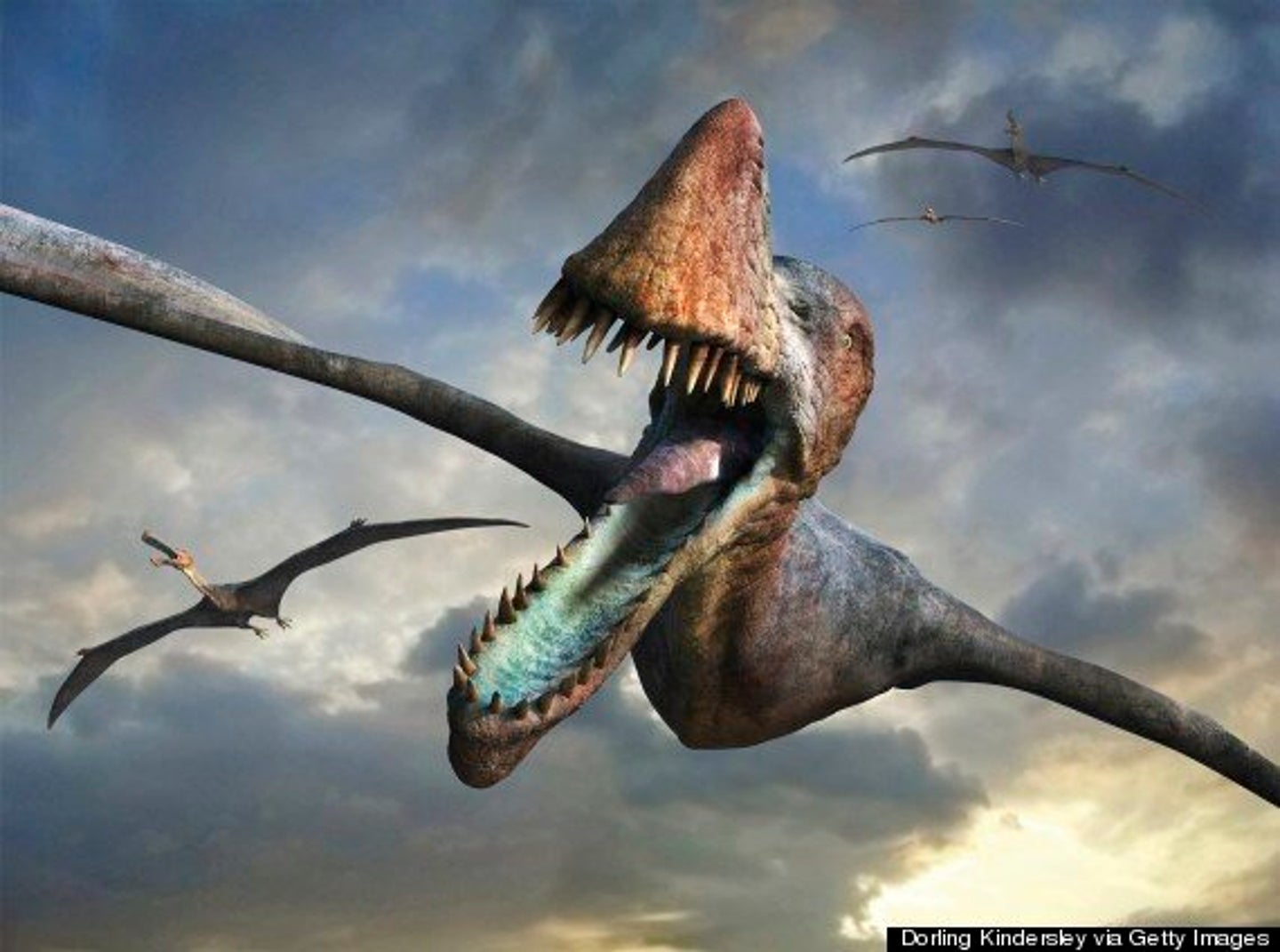 Flying Pterosaurs Were As Big As It Gets, Study Finds | HuffPost UK Tech