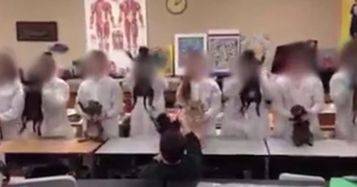 For Some Weird Reason, A School Filmed Their Pupils Dancing With Dead ...