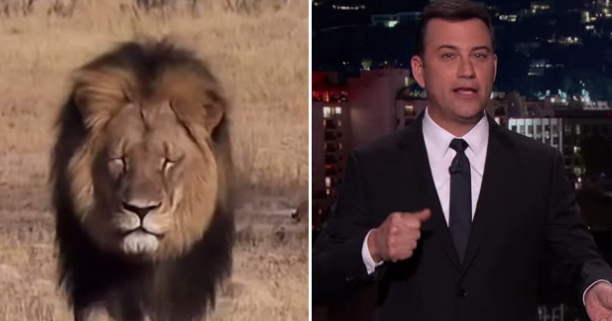 Jimmy Kimmel's 'Cecil The Lion' Monologue Is Perfect, And It's Raised ...