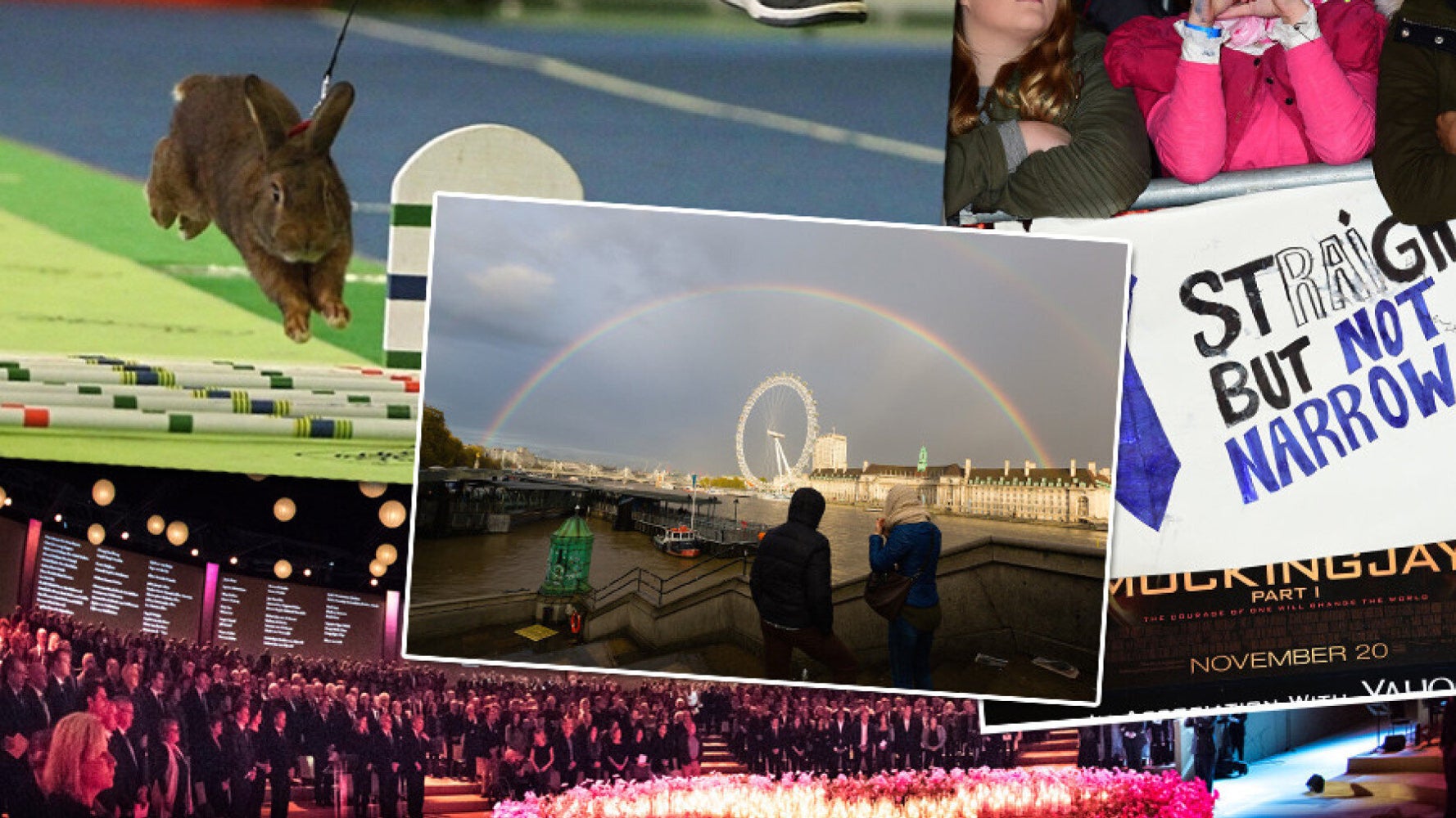 Pictures Of The Day: Photos From Tuesday 11th November 2014 | HuffPost ...